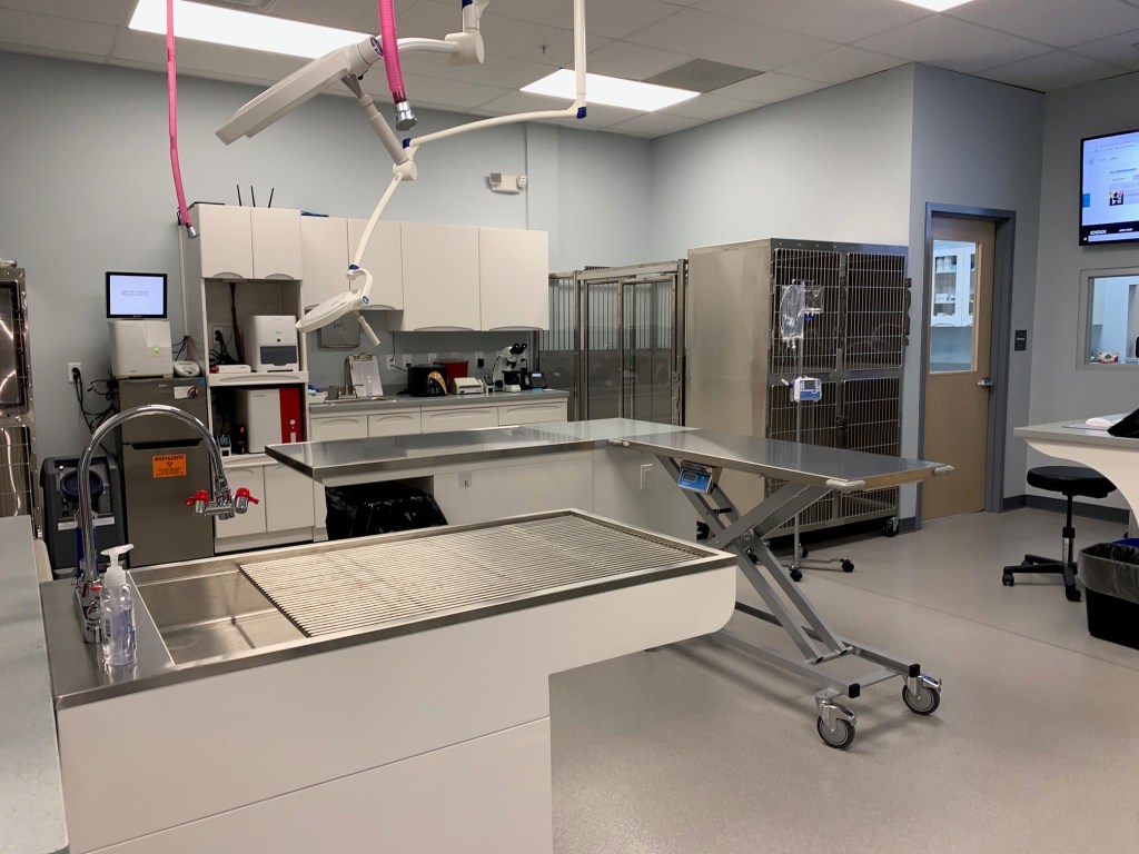 VetMetis-Treatment-Area3 – Vetmetis