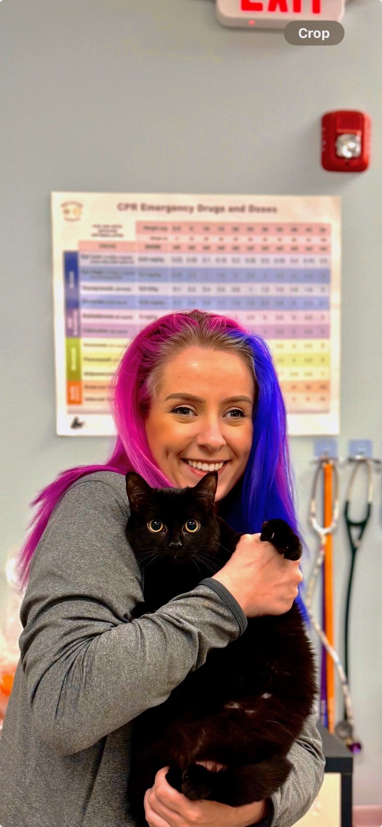 Meet Our Staff – Vetmetis